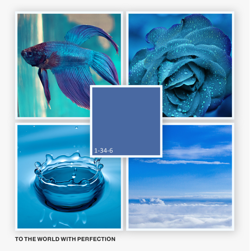 Color Book Guide – Welcome to KAPCI Coatings Official Website