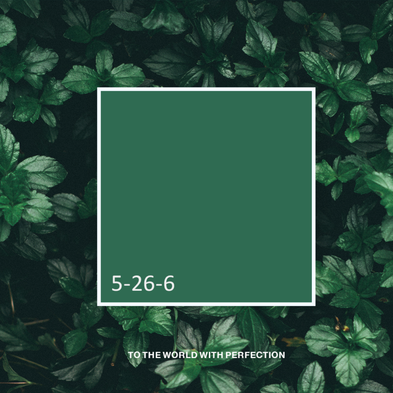 Color Book Guide – Welcome to KAPCI Coatings Official Website