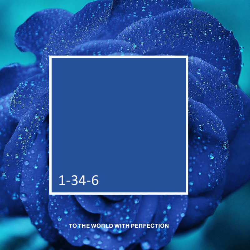 Color Book Guide – Welcome to KAPCI Coatings Official Website