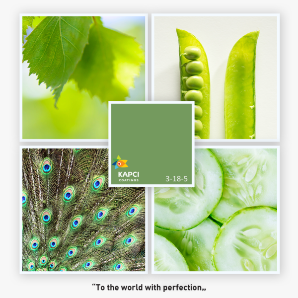 Color Book Guide – Welcome to KAPCI Coatings Official Website