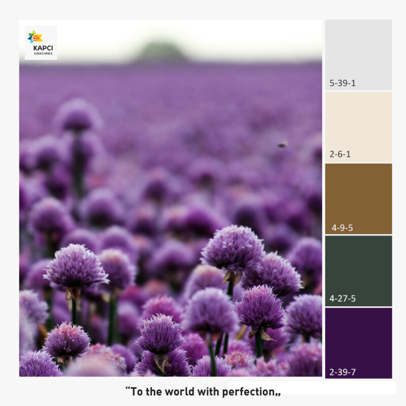 Color Book Guide – Welcome to KAPCI Coatings Official Website