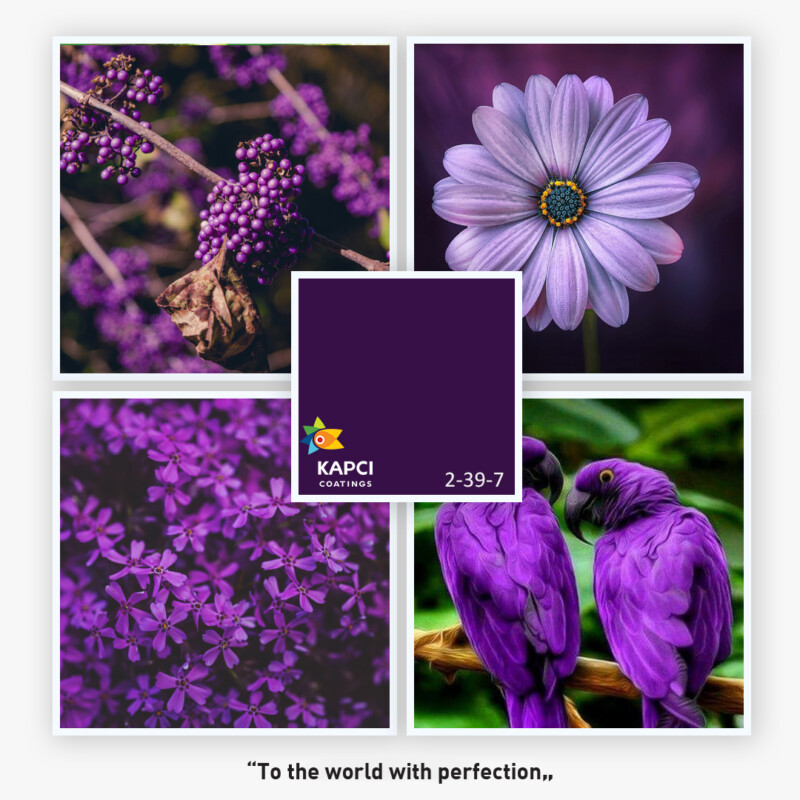 Color Book Guide – Welcome to KAPCI Coatings Official Website